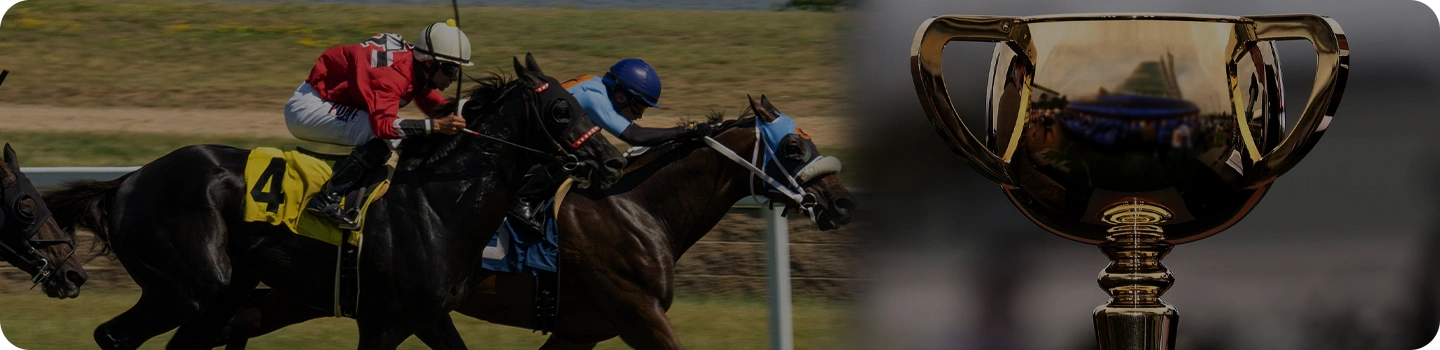 Melbourne Cup 2025 Order of Entry | Updated List